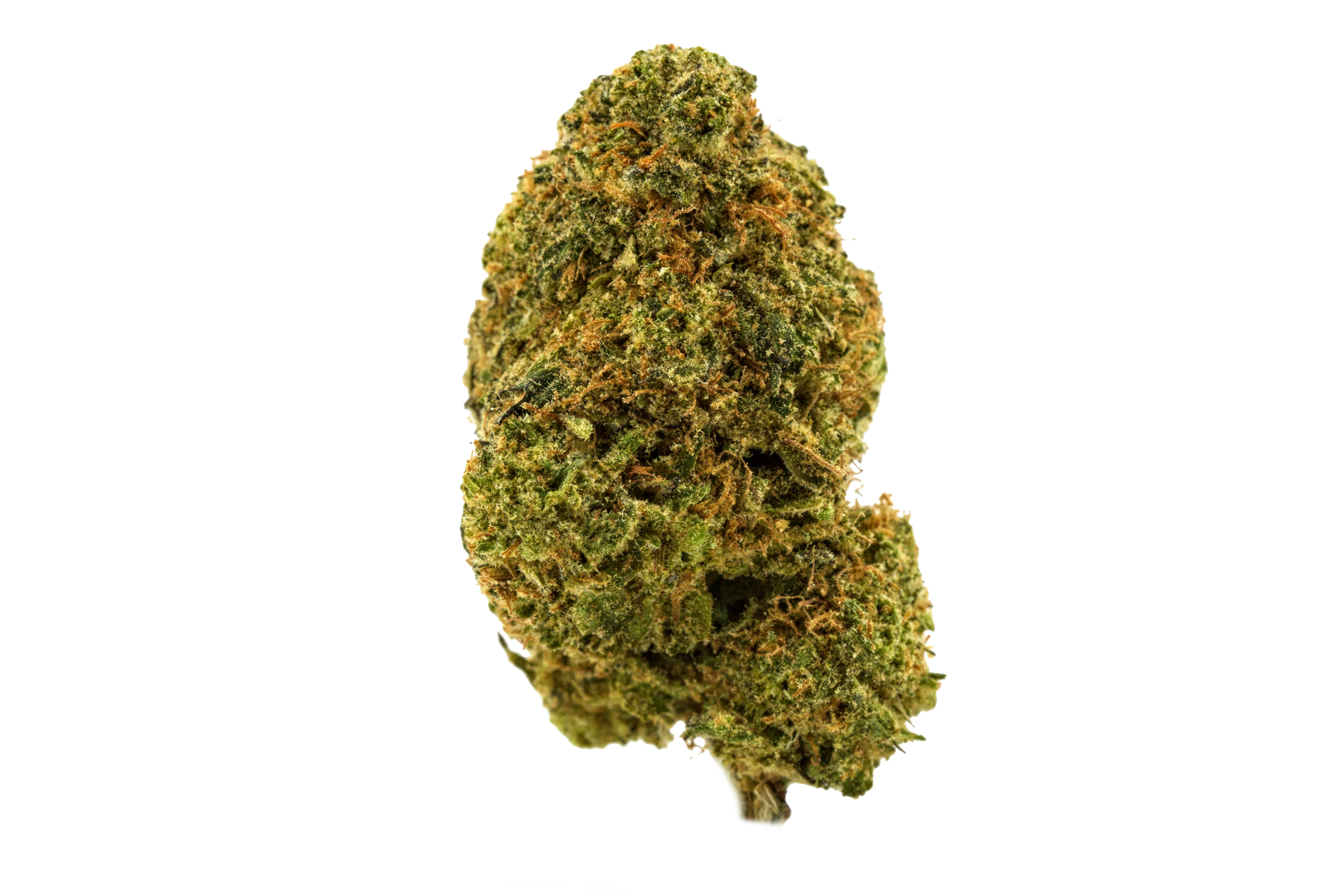 AAA OG Kush - BC Exotics