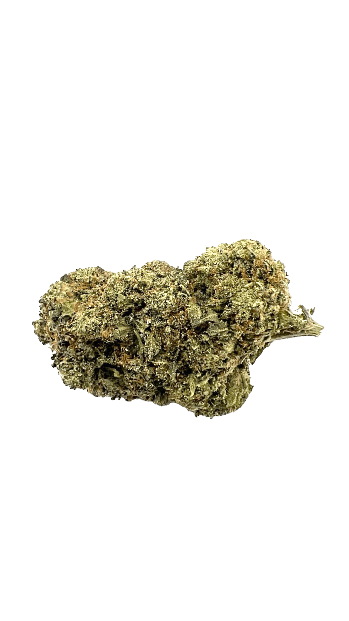 AAA Rockstar - BC Exotics
